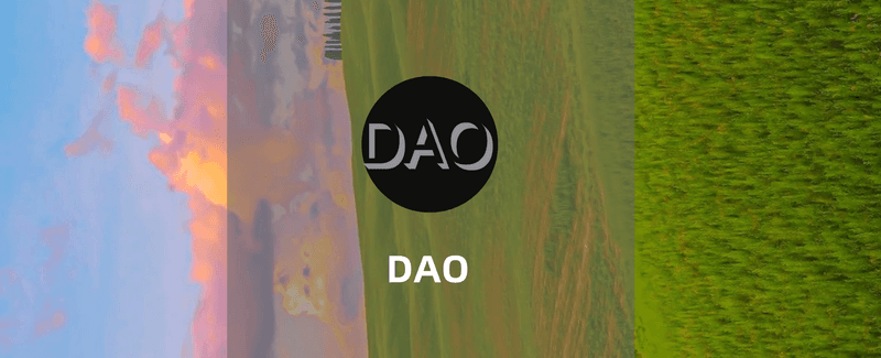 什么是DAO? 如何在DAO中工作？ | defi.to